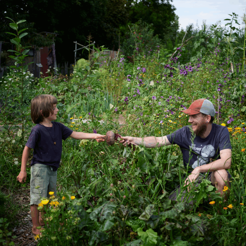 Guerilla Gardening – was ist das? | Löwenzahn