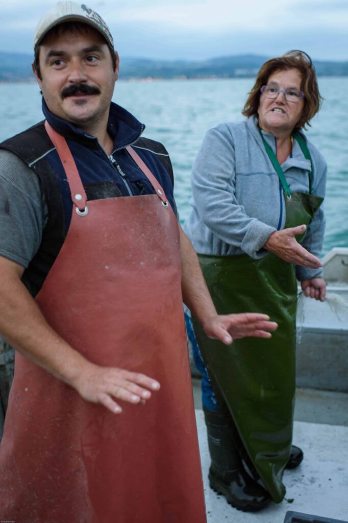 Frischer Fang aus heimischen Gewässern: Fisch nachhaltig genießen