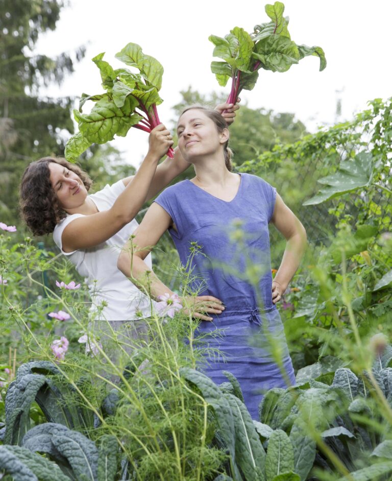 Urban Farming: Was steckt dahinter? | Löwenzahn
